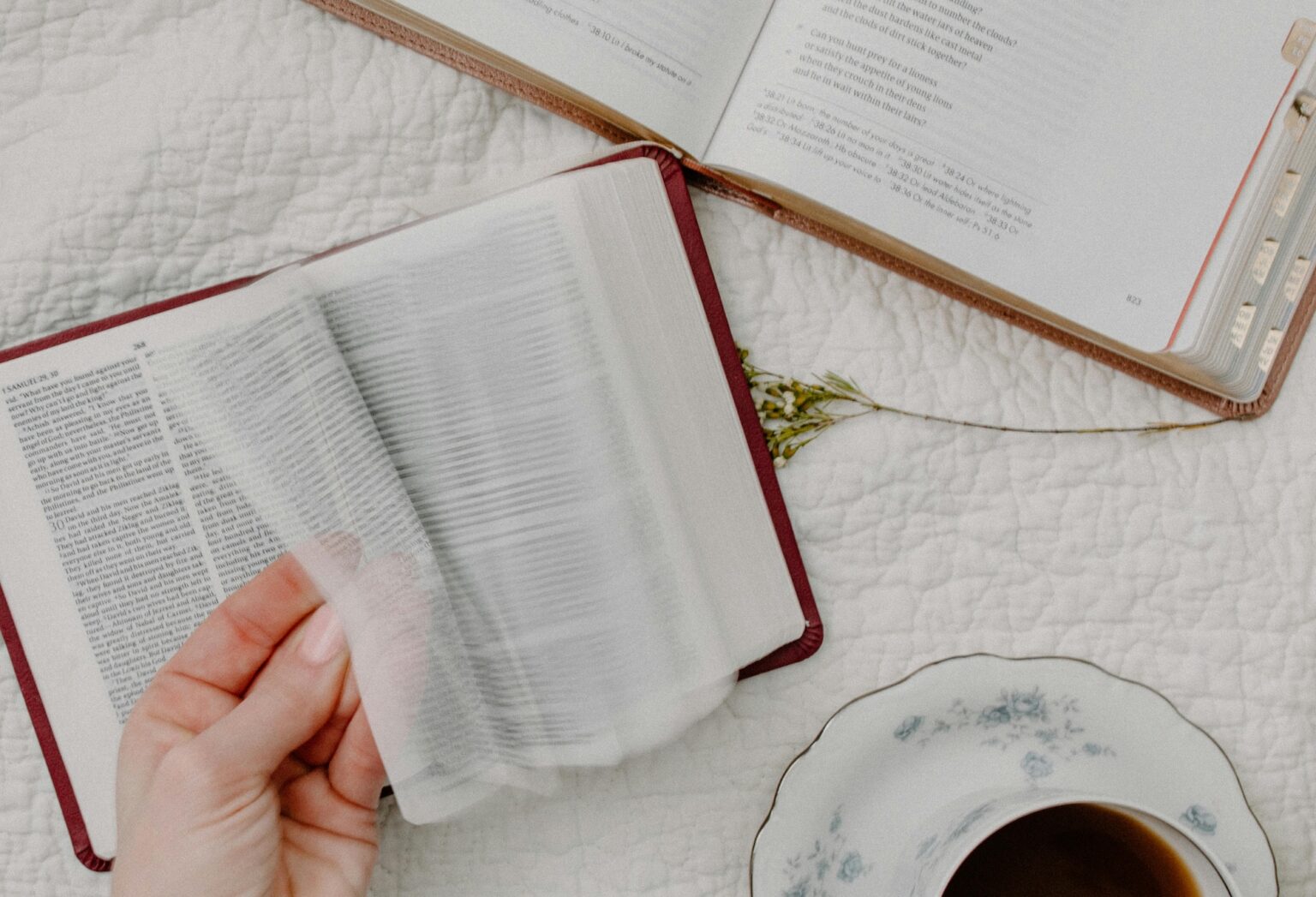 Difference Between Tithe and Offering: 8 Biblical Principles